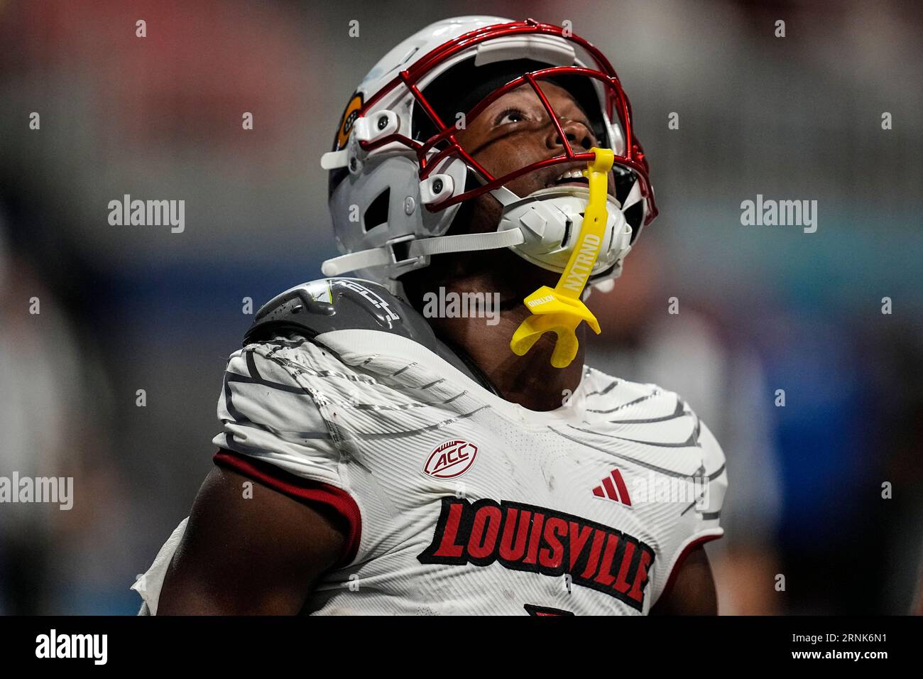 Louisville wide receiver Jamari Thrash (1) celebrates his touchdown ...