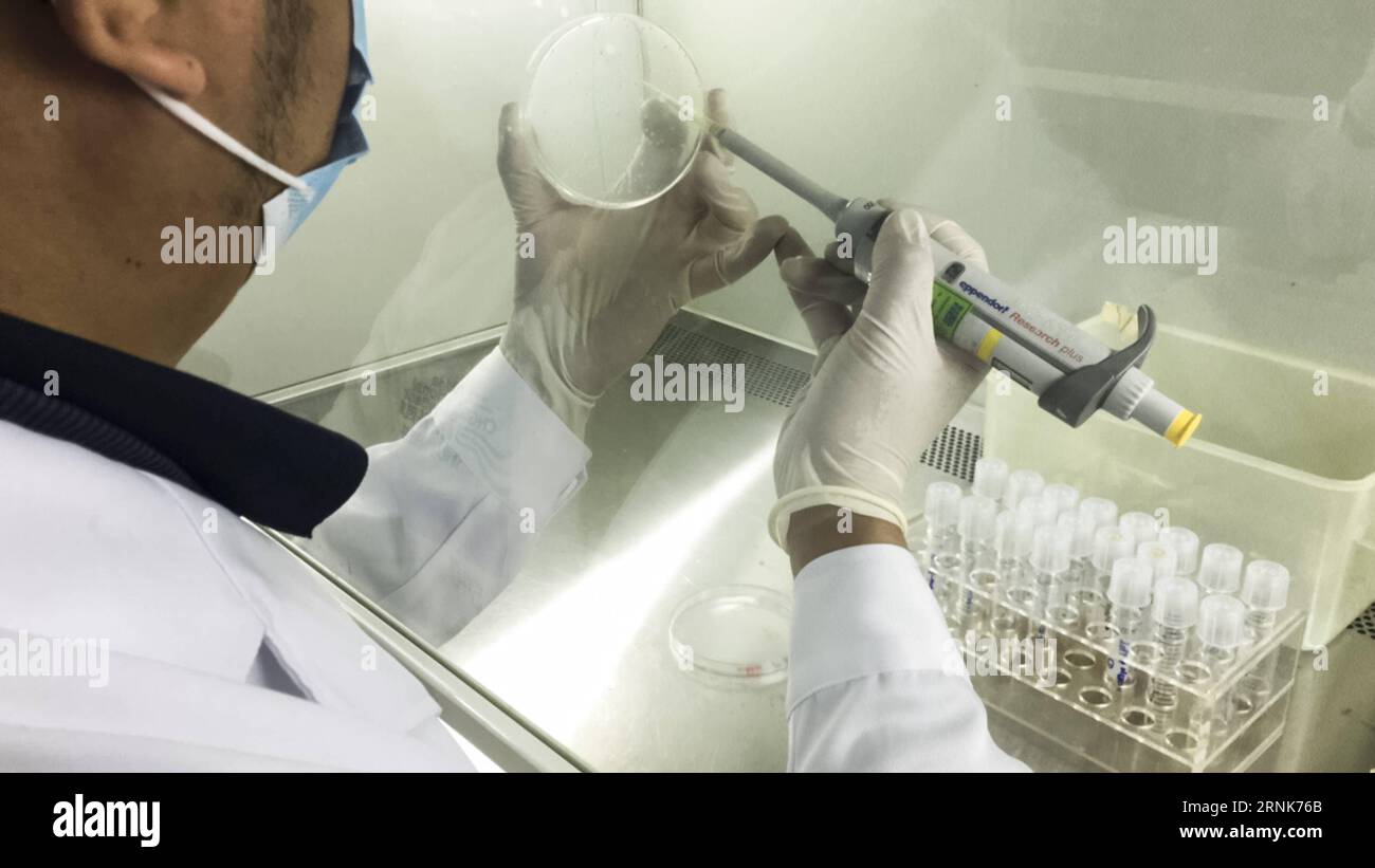 Designing tests hi-res stock photography and images - Alamy