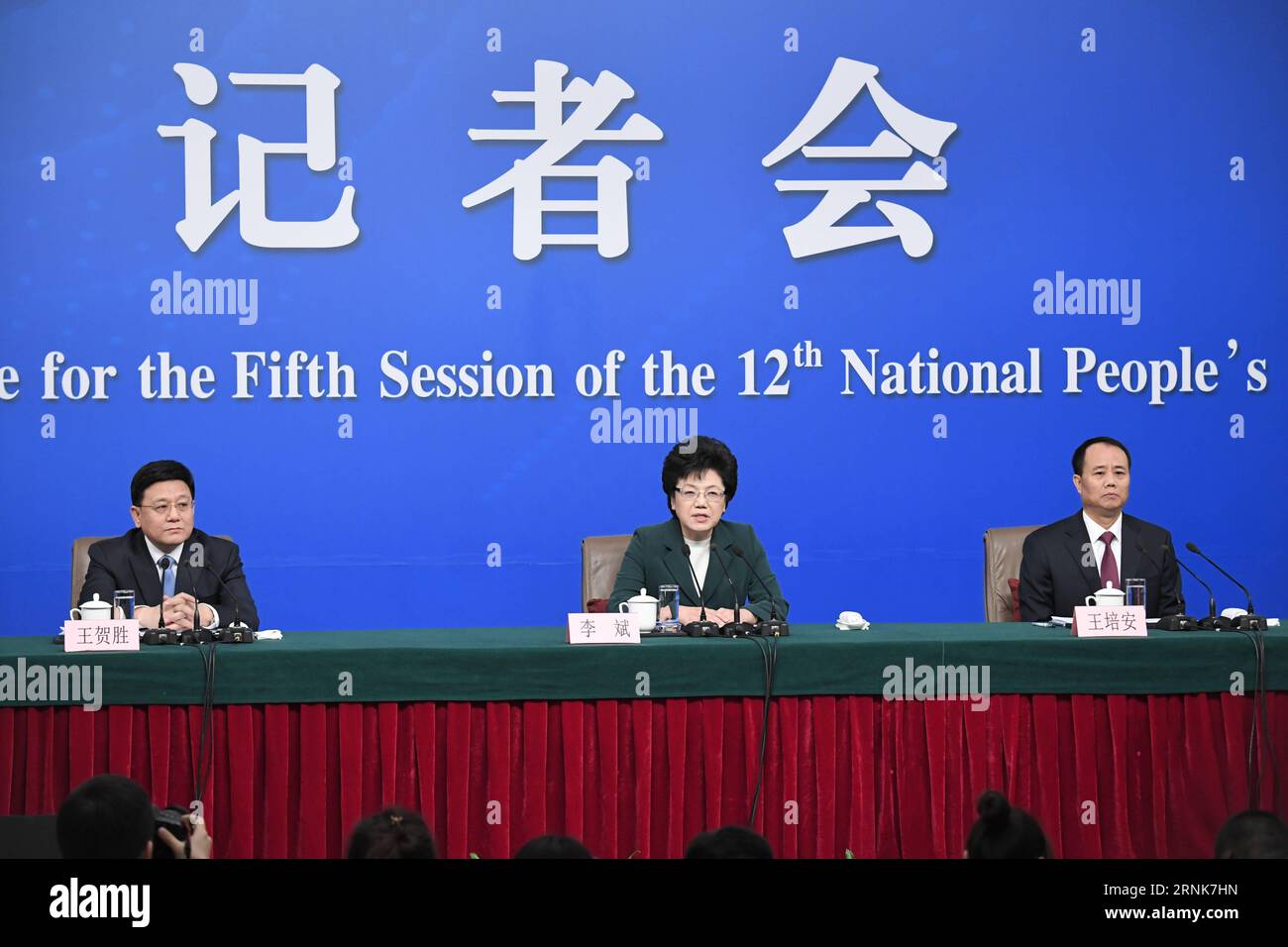 China npc deputy li hi-res stock photography and images - Alamy