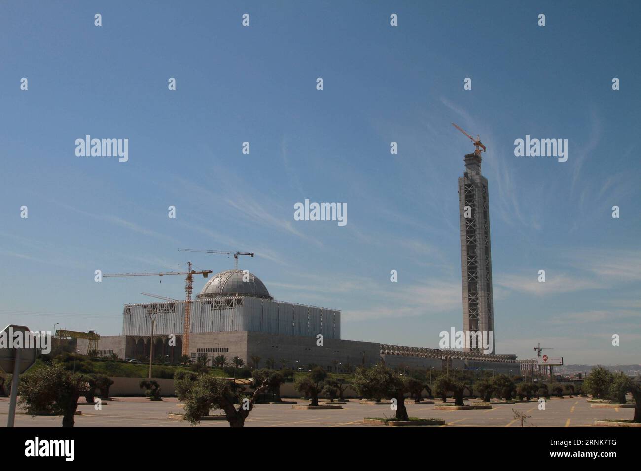 The great mosque of algiers hi-res stock photography and images - Alamy
