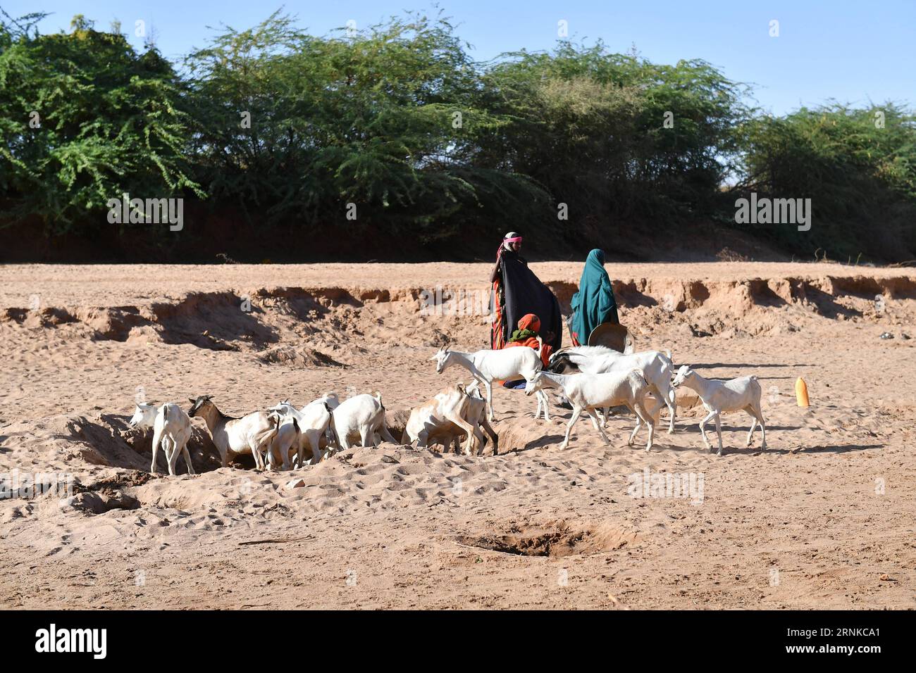 Somali town hi-res stock photography and images - Alamy