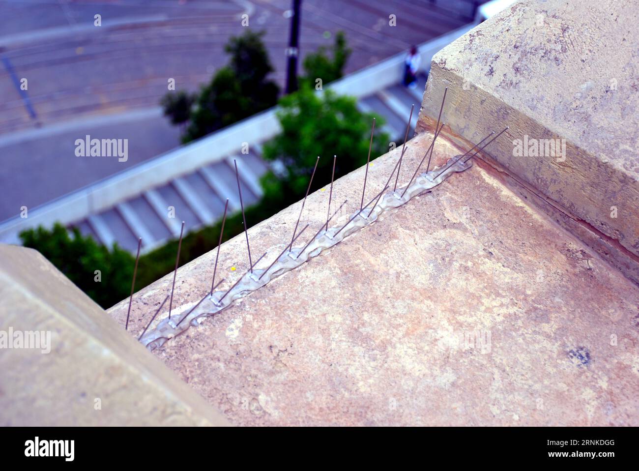 metal spike anti-roosting or bird prevention and repellent strip. bird ...