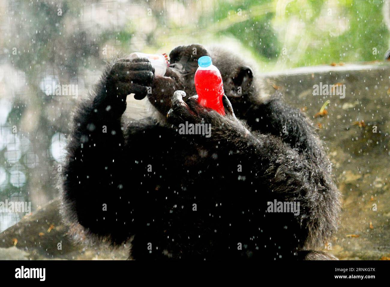Cold season in thailand hi-res stock photography and images - Alamy