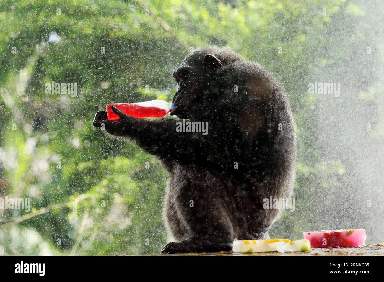 Cold season in thailand hi-res stock photography and images - Alamy
