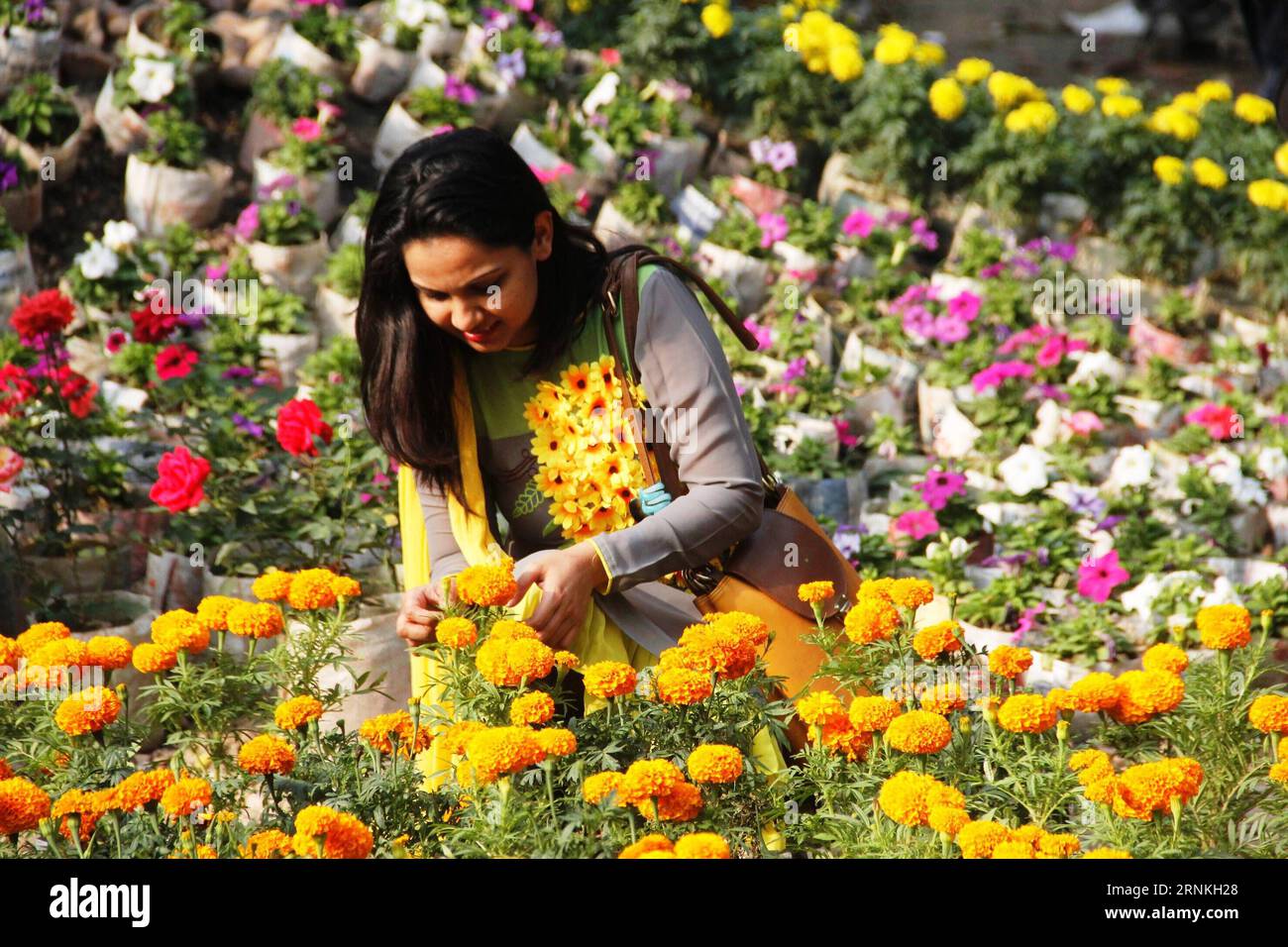 Flowers of bangladesh hi-res stock photography and images - Alamy