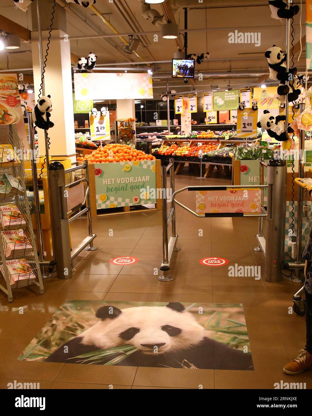 Panda poster hi-res stock photography and images - Alamy