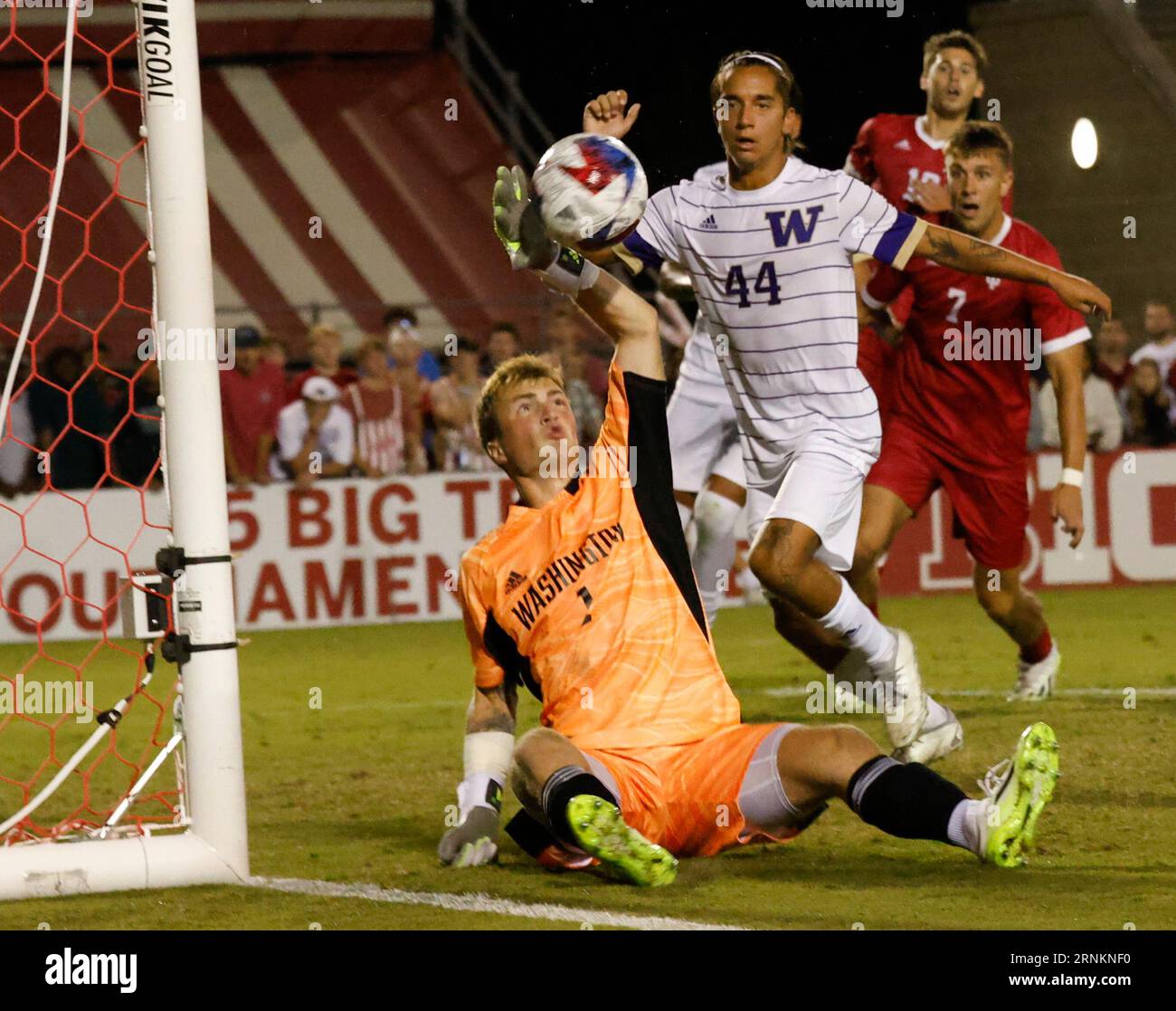 Sam armstrong hi-res stock photography and images - Alamy