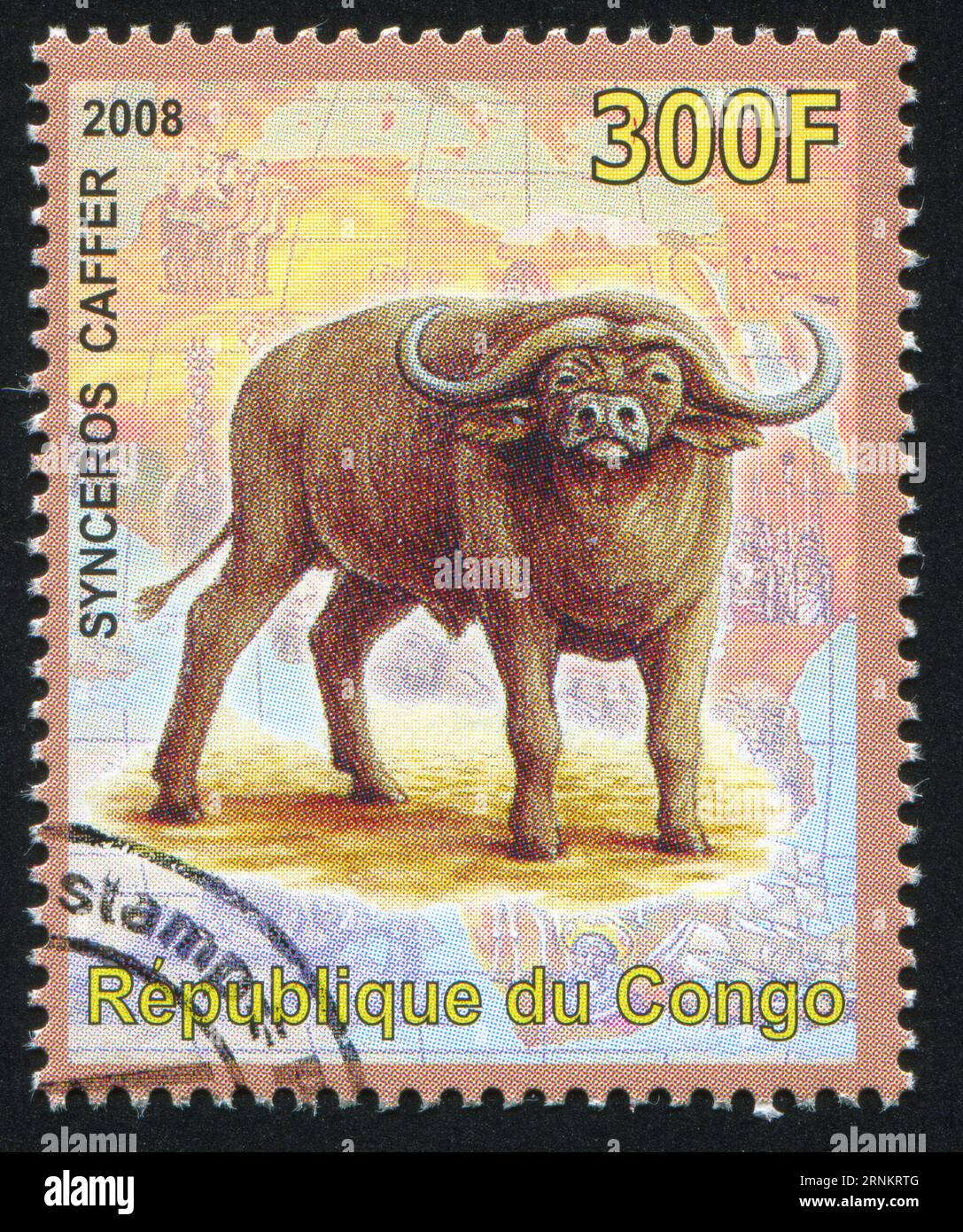 CONGO - CIRCA 2008: stamp printed by Congo, shows African buffalo ...