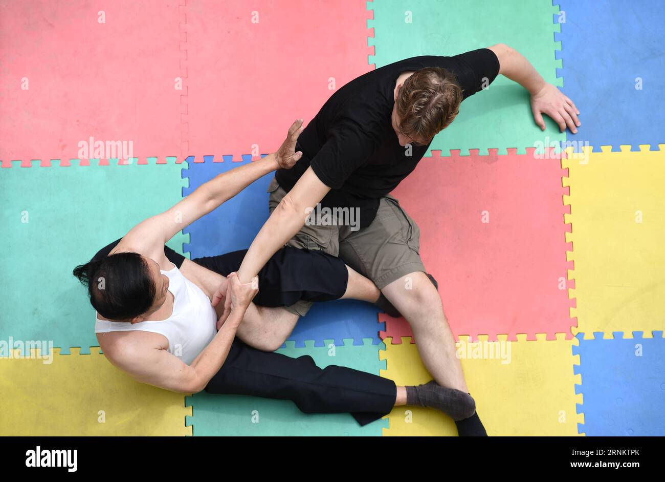 Dog kung fu hi-res stock photography and images - Alamy