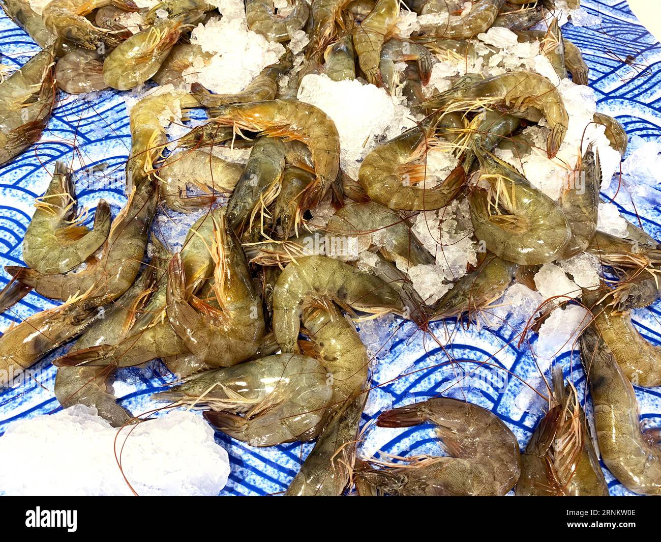 Vannamei shrimp hi-res stock photography and images - Alamy