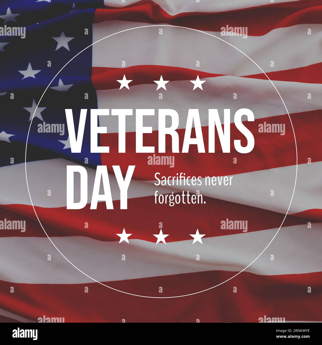 Composite of veterans day text in circle over flag of usa background ...