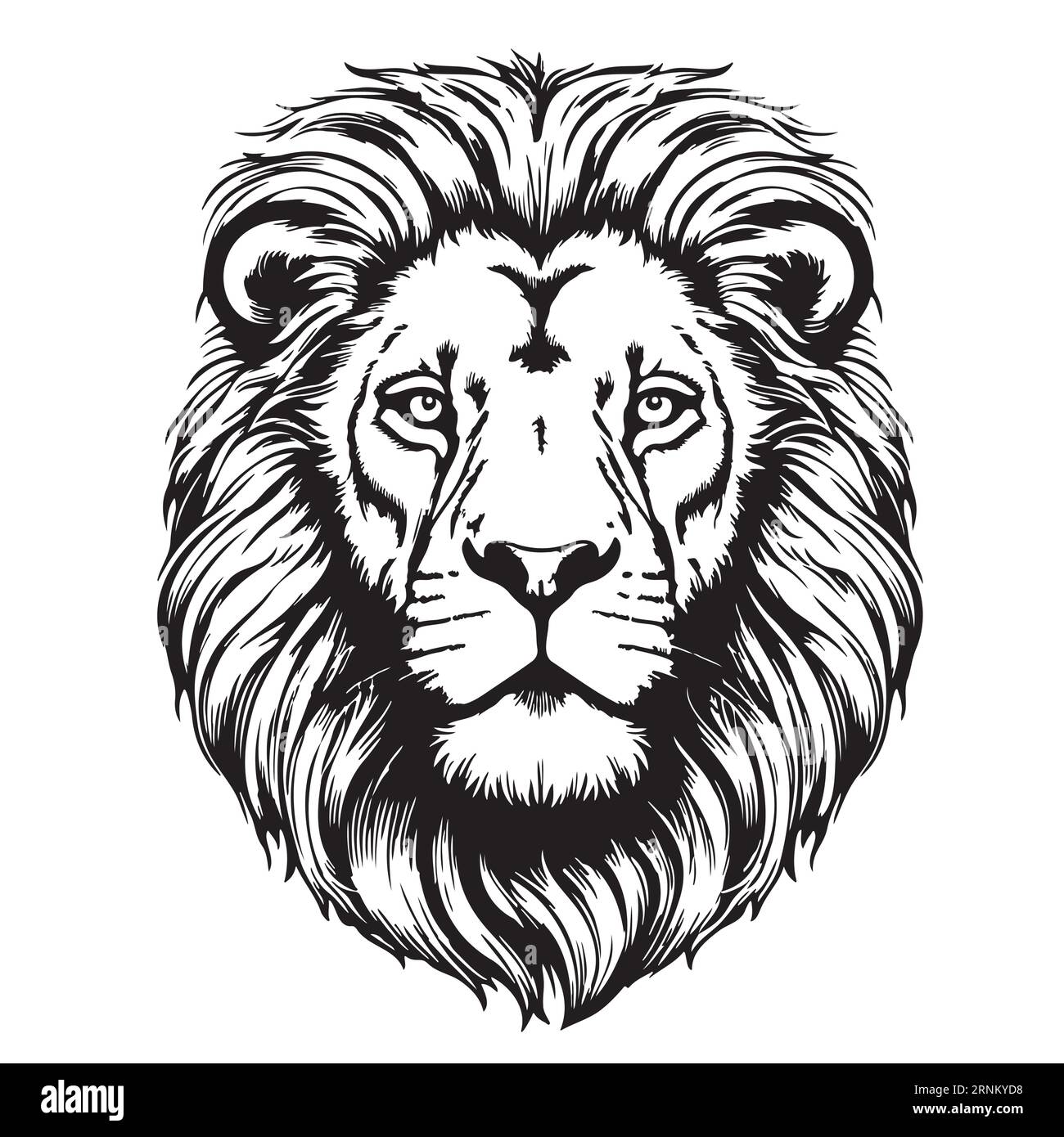 Easy Cartoon Lion Face