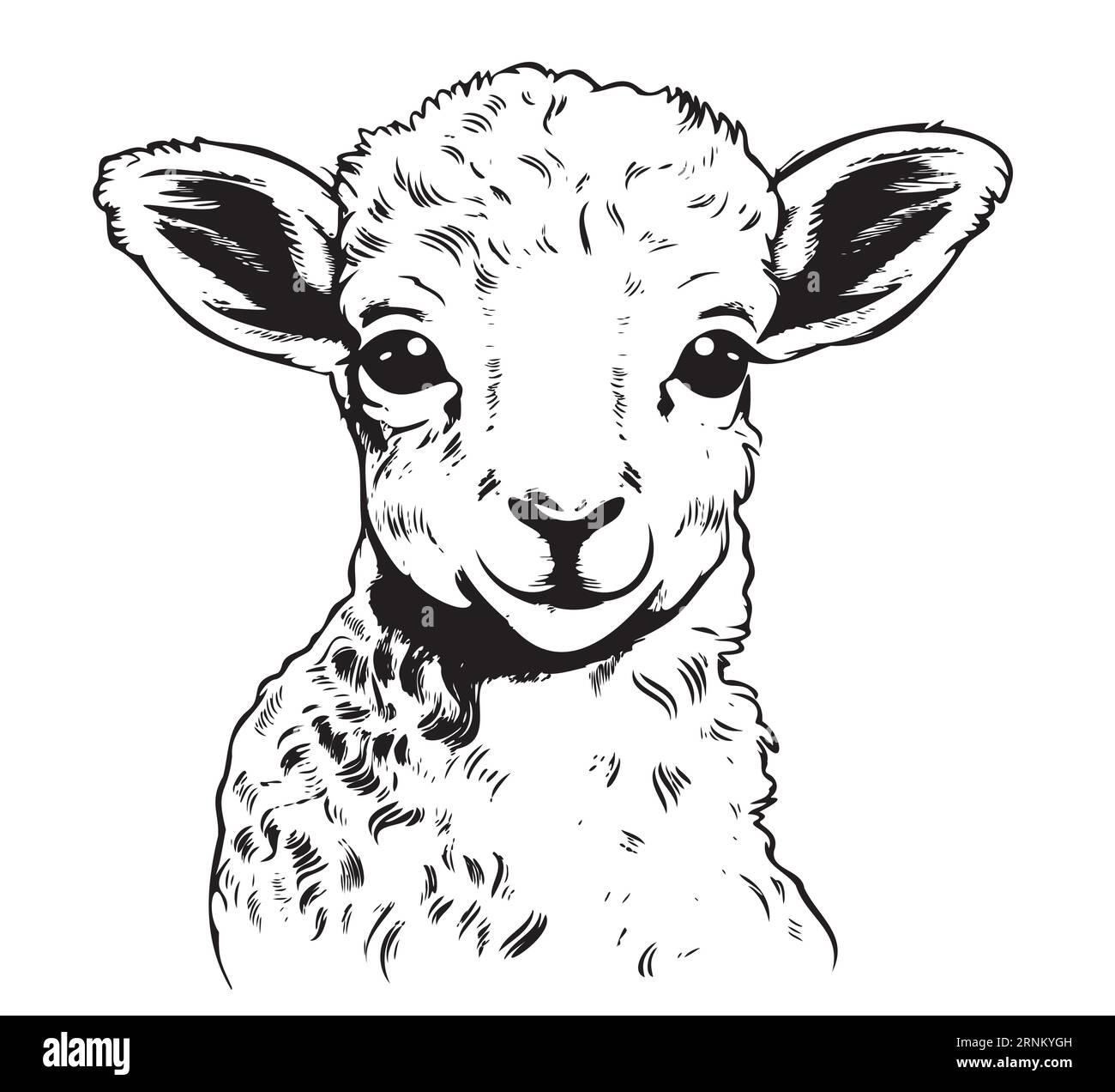 Realistic Baby Lamb Drawing
