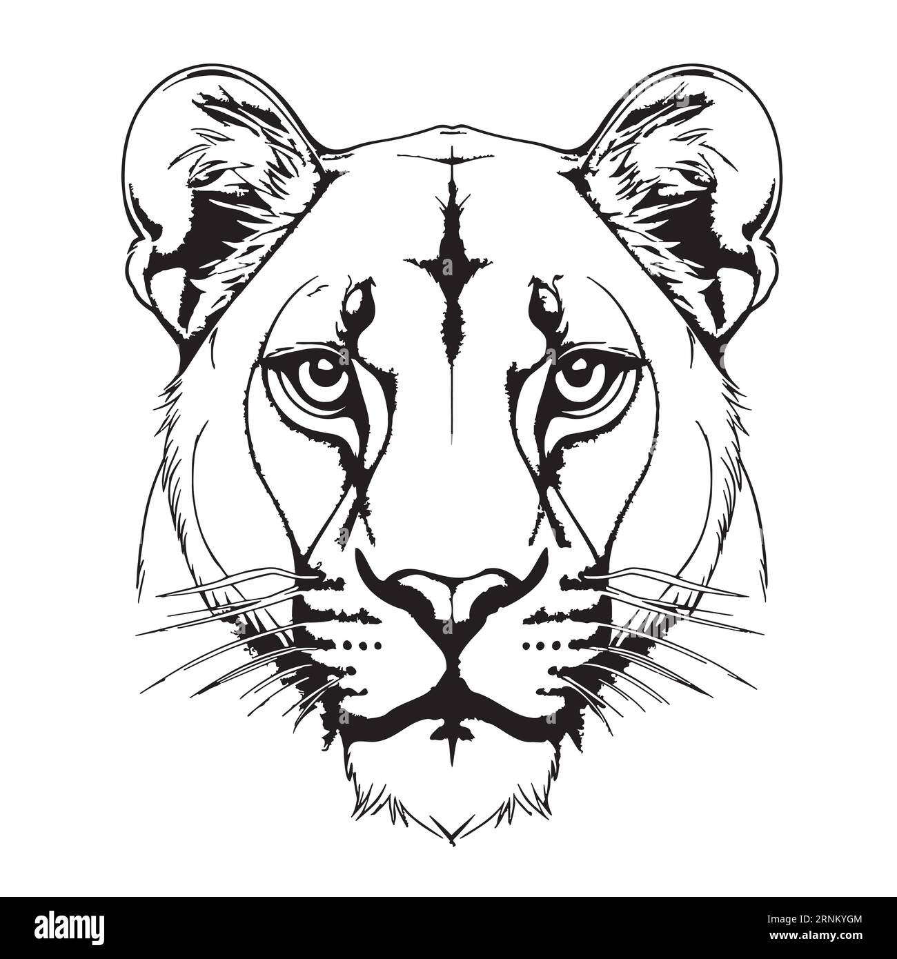 Lioness face cartoon hand drawn sketch illustration Wild animals Stock ...