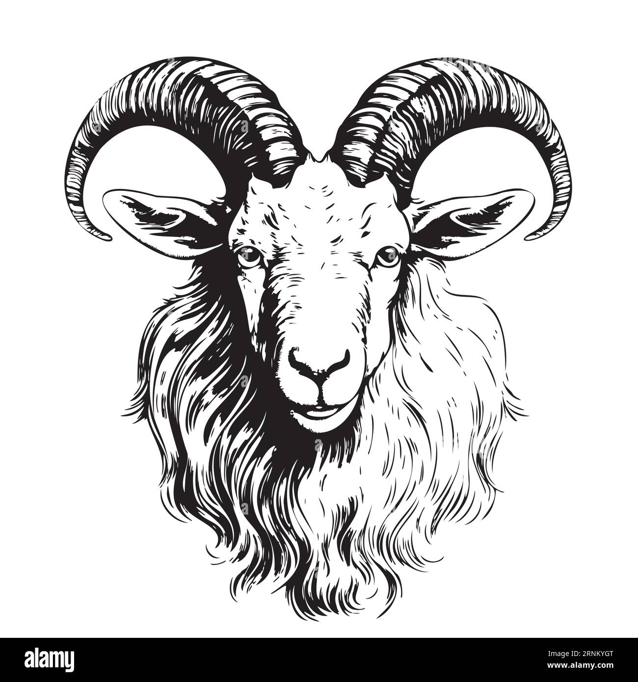 Mountain goat hand drawn sketch Vector Wild animals Stock Vector Image ...