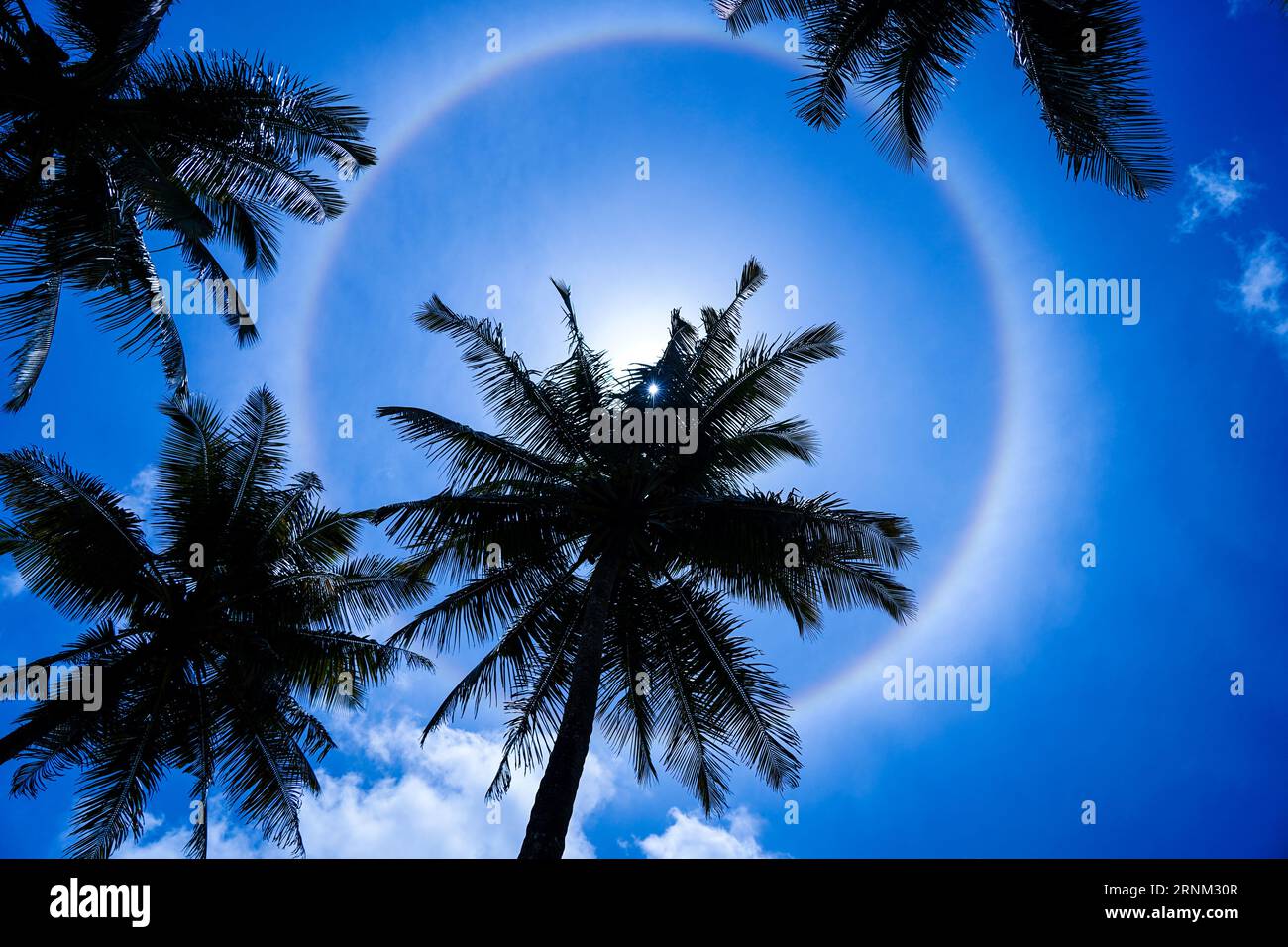 A halo formed around the Sun due to Cirrostratus clouds, composed of ...