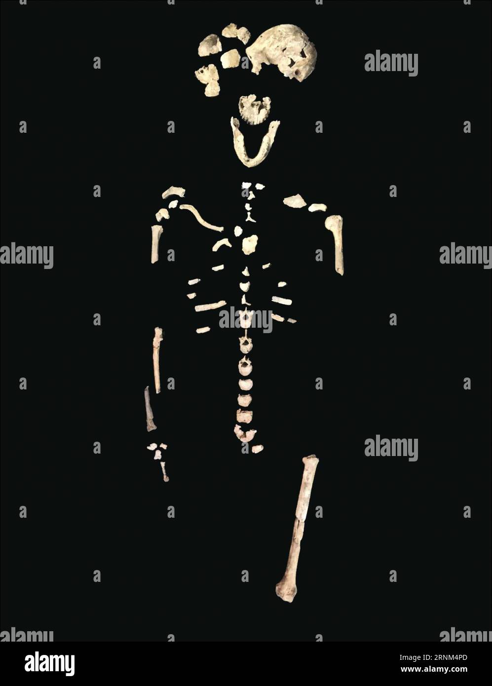 (170509) -- JOHANNESBURG, May 9, 2017 -- The undated photo provided by ...