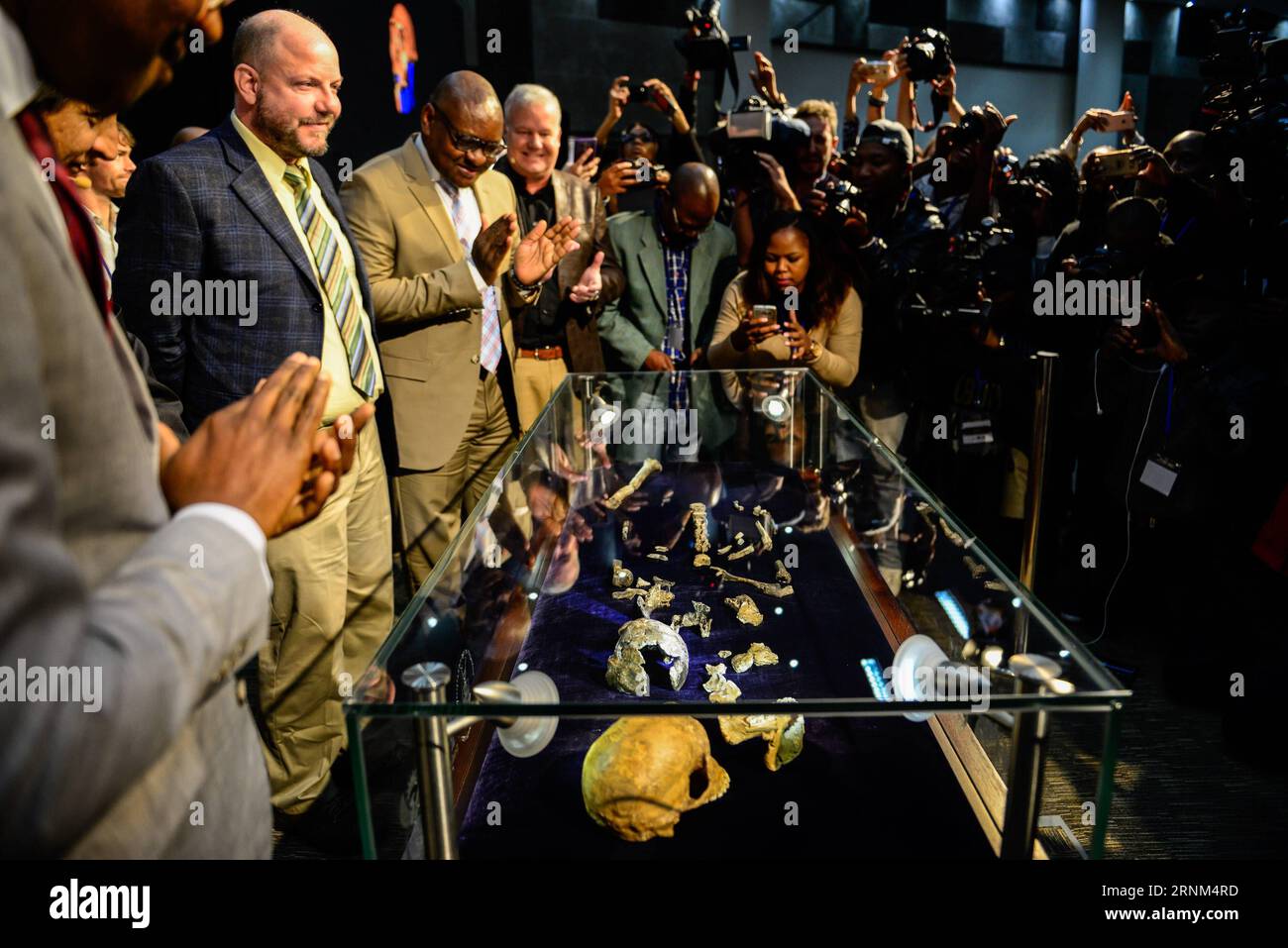 Cradle of humankind south africa hi-res stock photography and images ...