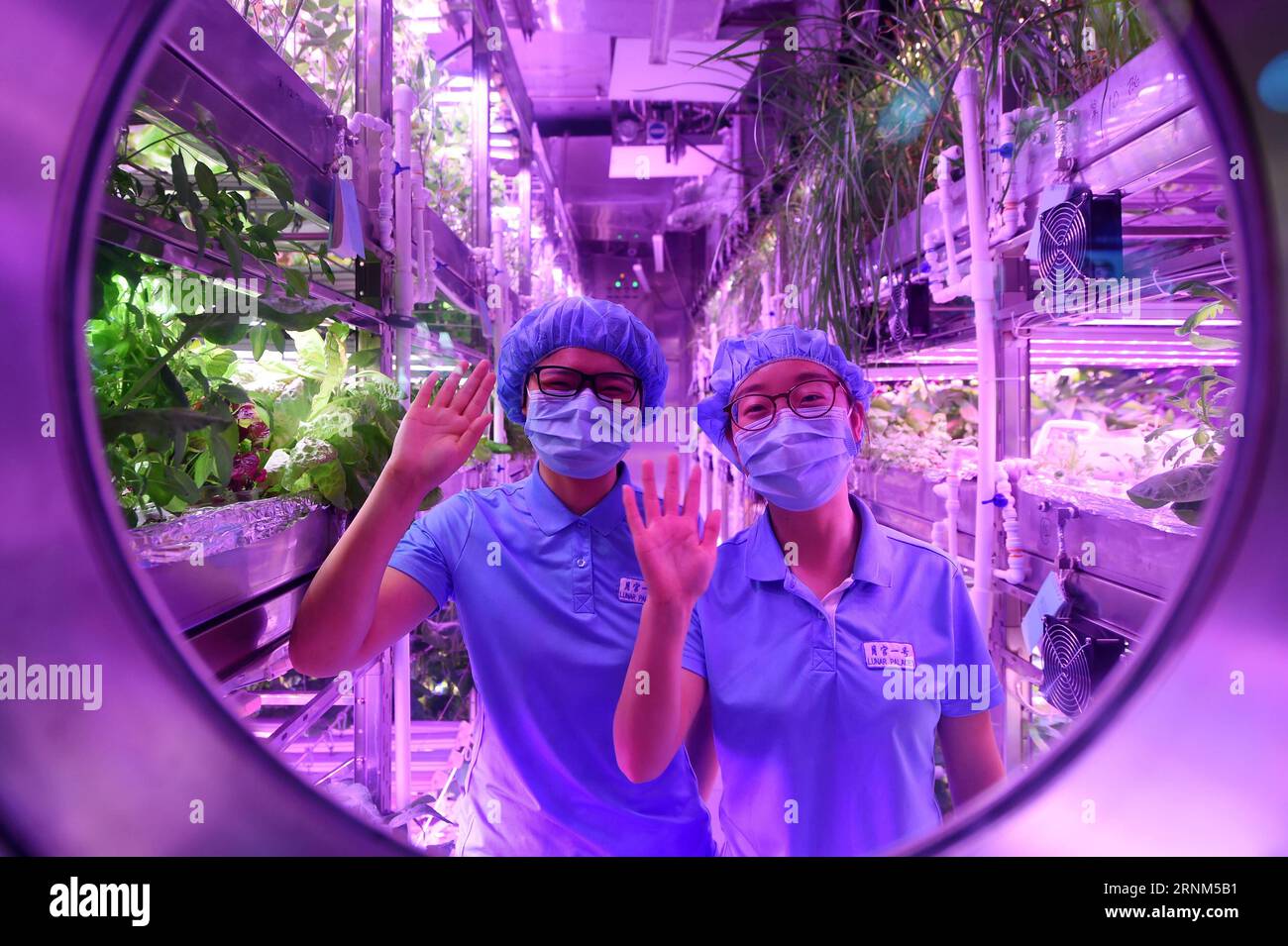 Regenerative life support systems hi-res stock photography and images ...