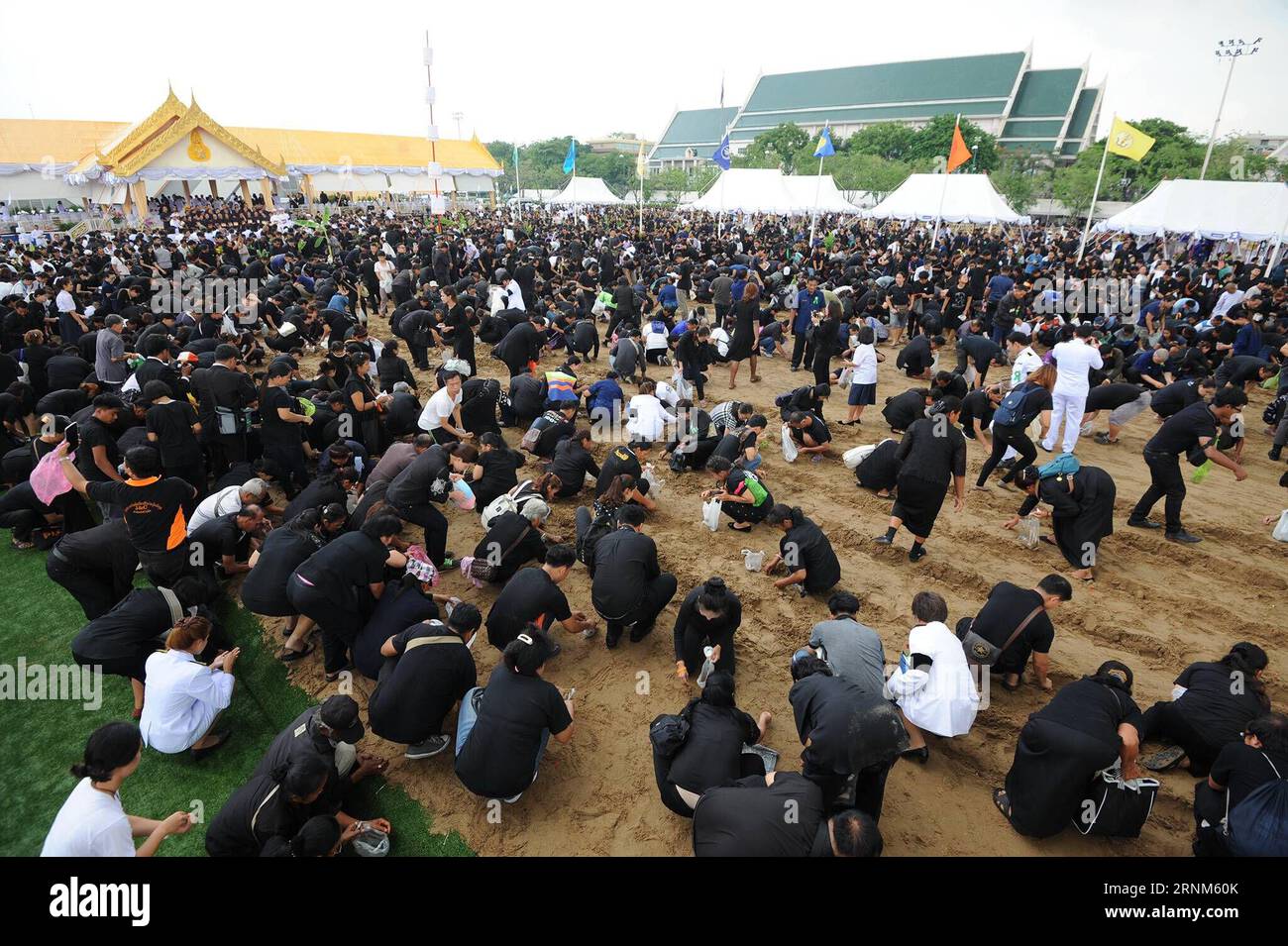 (170512) -- BANGKOK, May 12, 2017 -- Participants pick up sacred rice ...