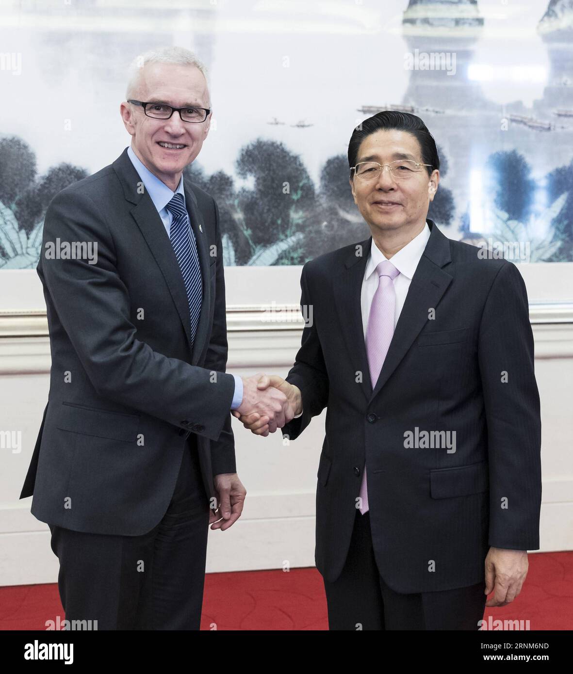 (170513) -- BEIJING, May 13, 2017 -- Chinese State Councilor and ...