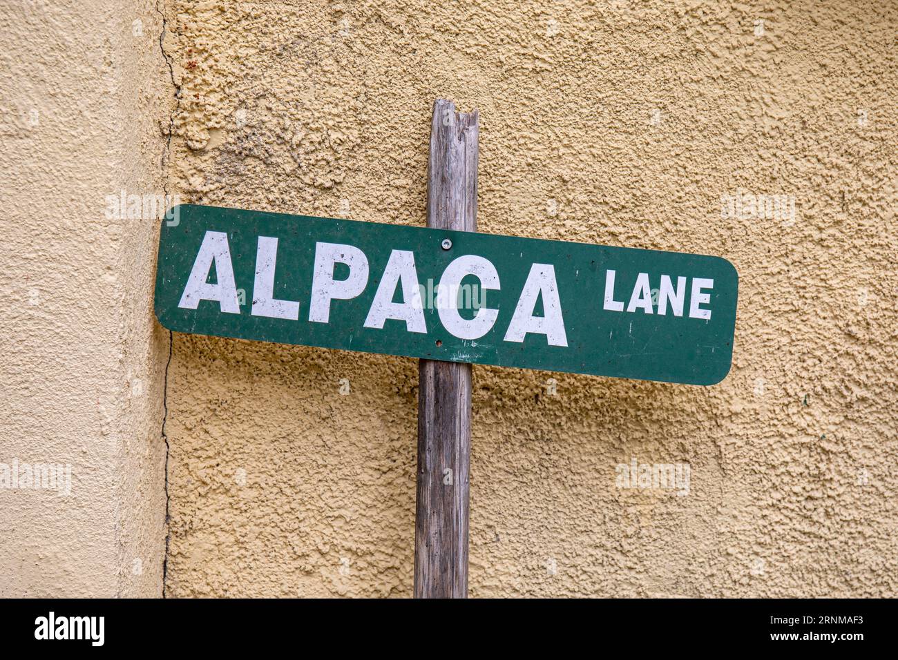 Alpaca Lane sign in Mathildedal village, Perniö, Finland Stock Photo ...