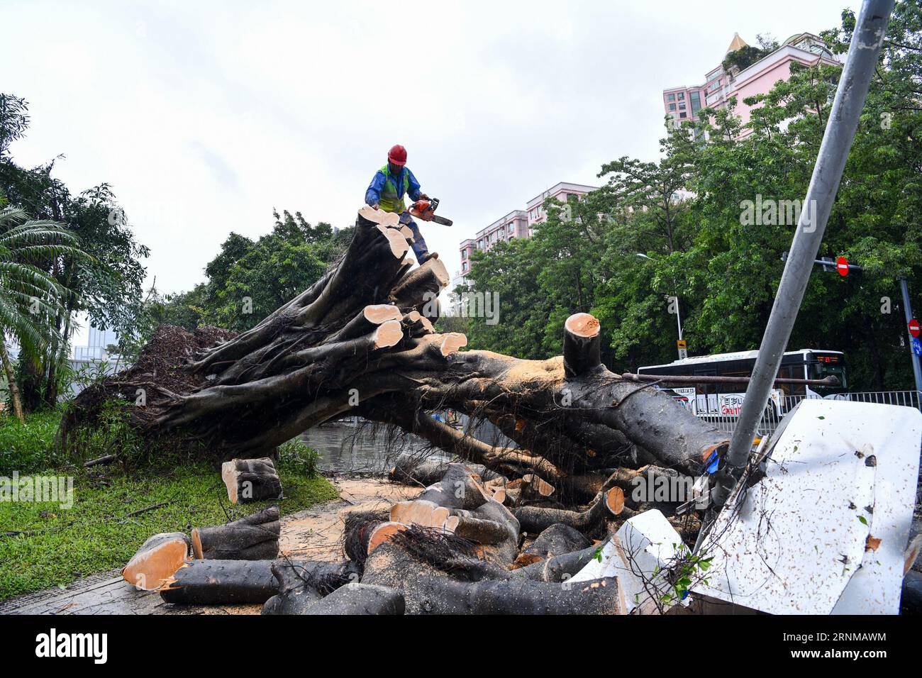 Shenzhen, China's Guangdong Province. 2nd Sep, 2023. A worker tries to ...