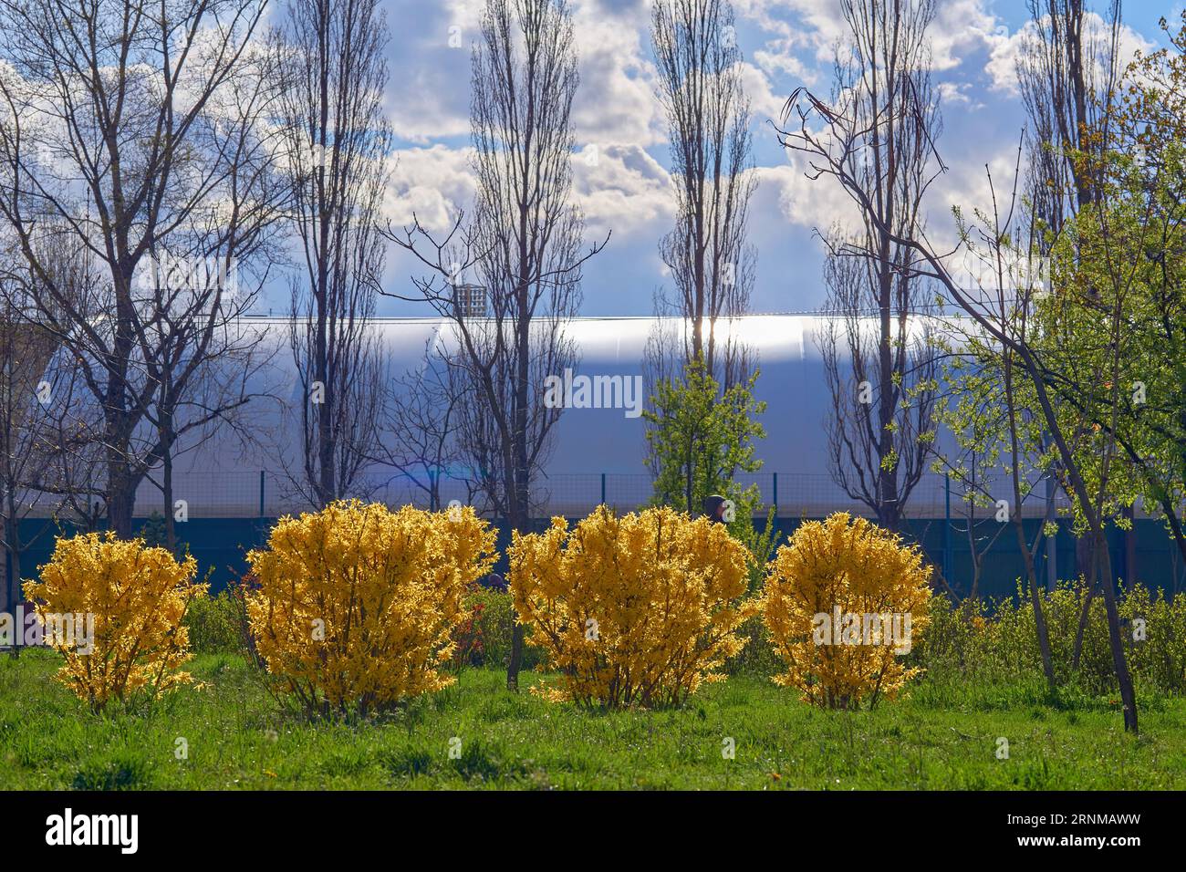 Hangar, warehouse, storehouse, indoor stadium sports ground outside ...