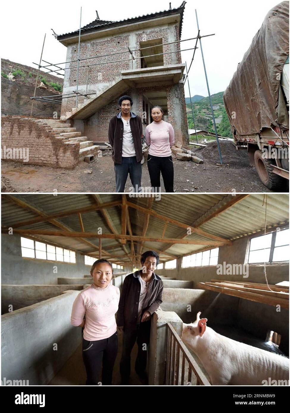 Pig farm construction Cut Out Stock Images & Pictures - Alamy