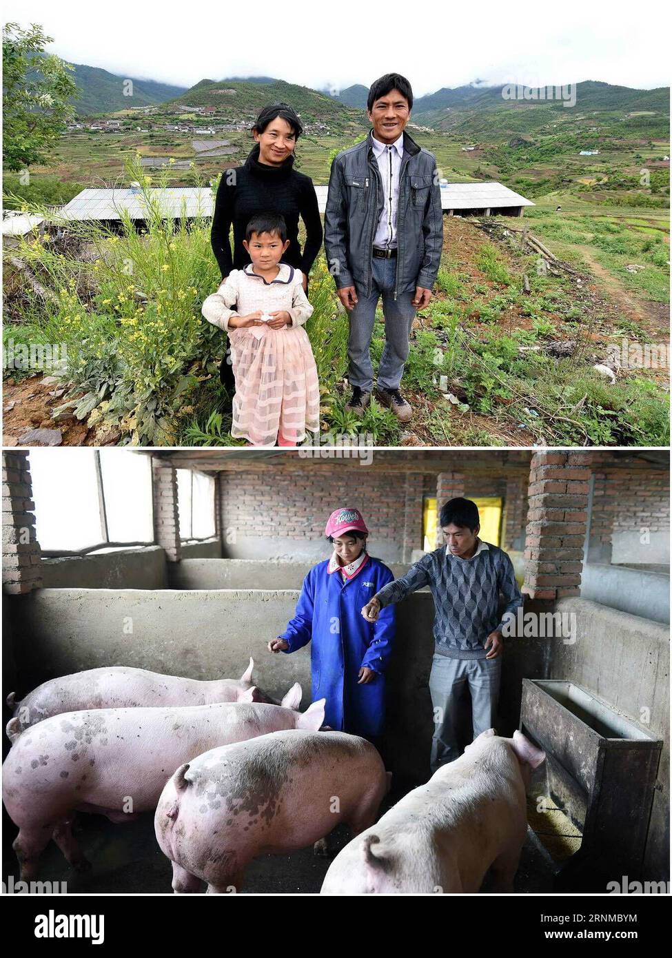 Pigs bottom hi-res stock photography and images - Alamy