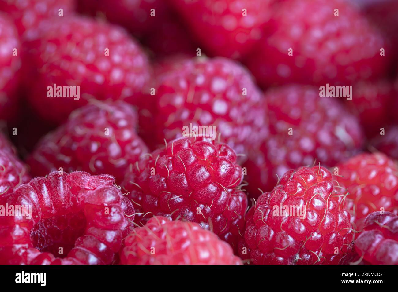 red raspberries textured background for design purpose Stock Photo - Alamy