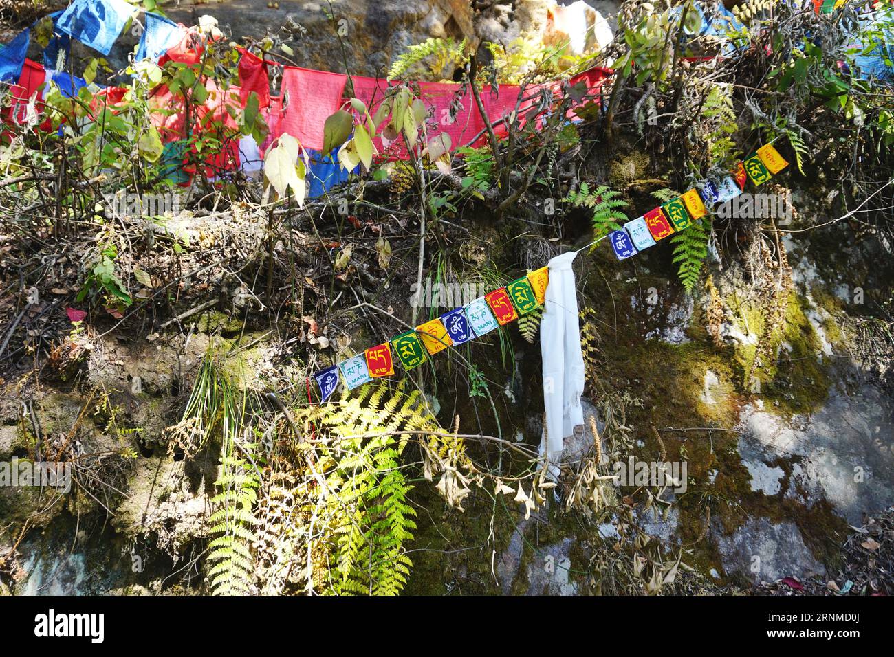 Bands of colorful cloth prayer flags including a white prayer shawl ...