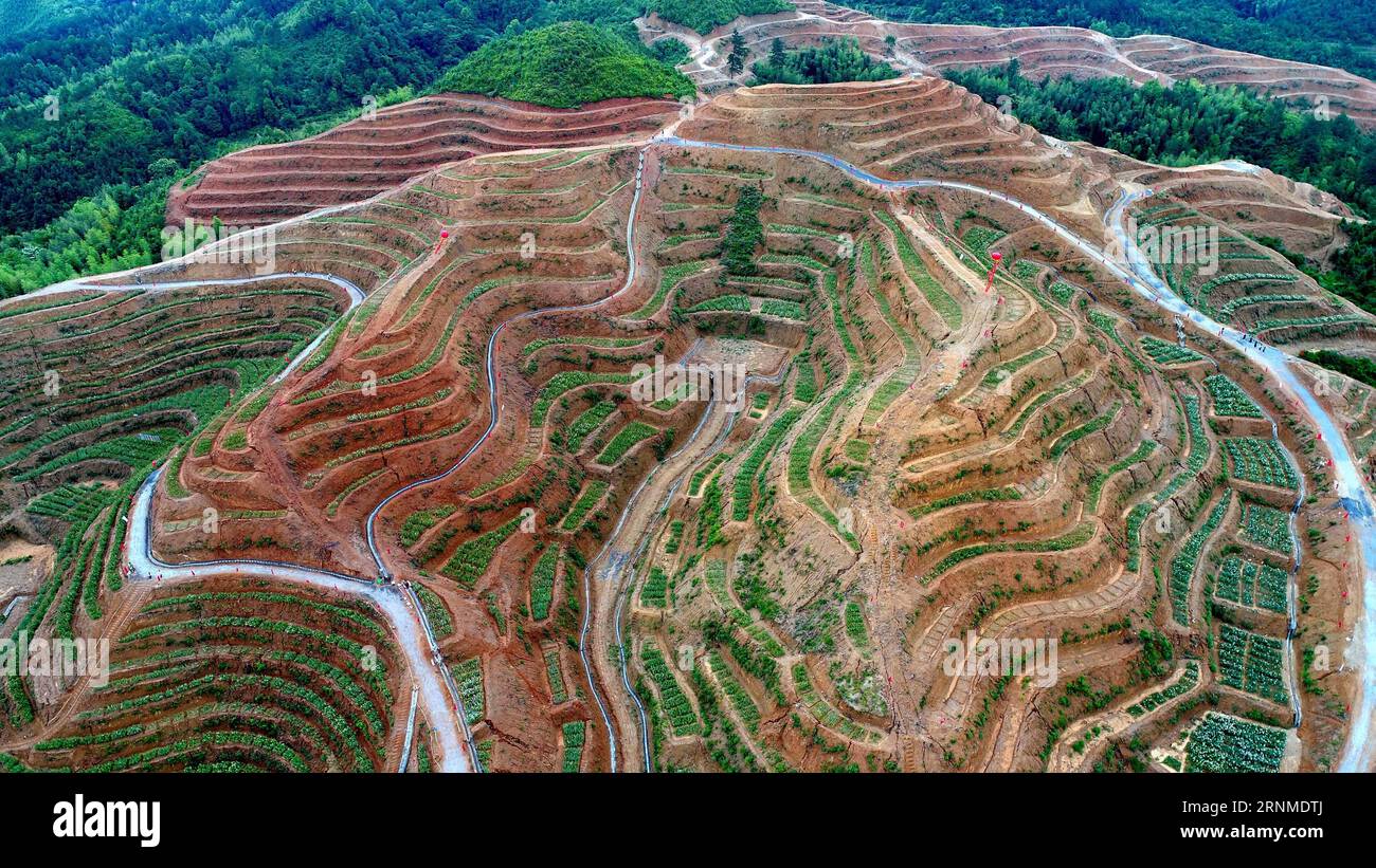 (170524) -- WANZAI, May 24, 2017 -- Aerial photo shows a lily garden in ...