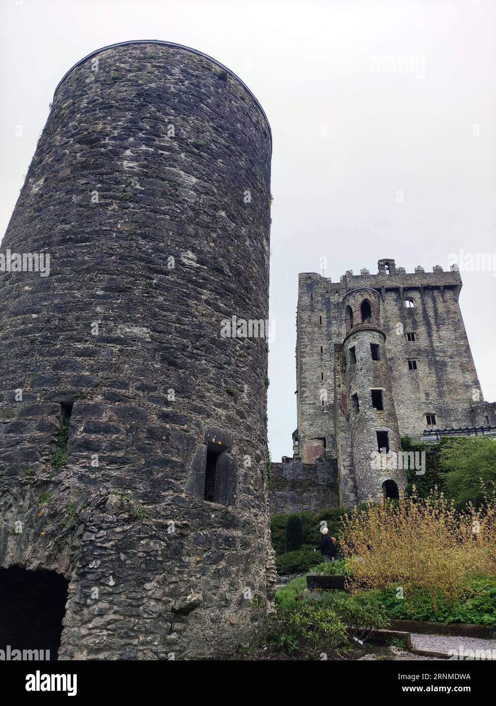 Old celtic tower, Blarney castle in Ireland, ancient architecture background Stock Photo - Alamy