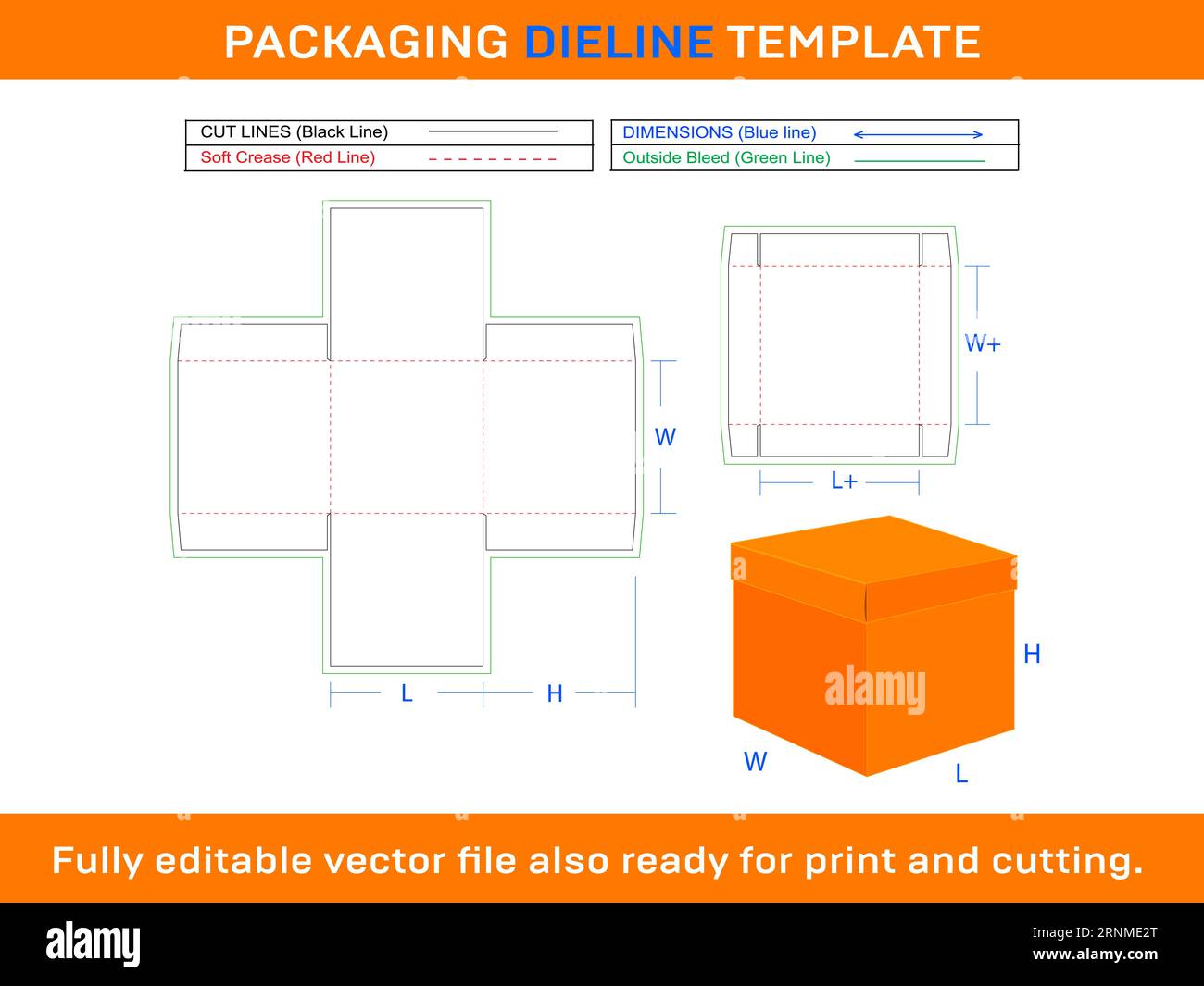 Box With Lid, Fever Gift Box Die line Template Stock Vector Image & Art ...