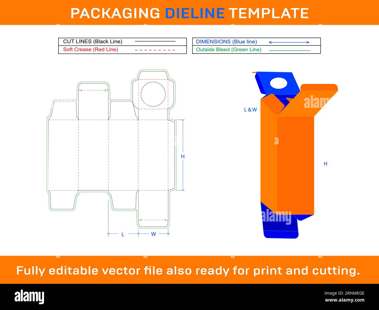 Cosmetic Tube Box Wide Die line Template Stock Vector Image & Art - Alamy