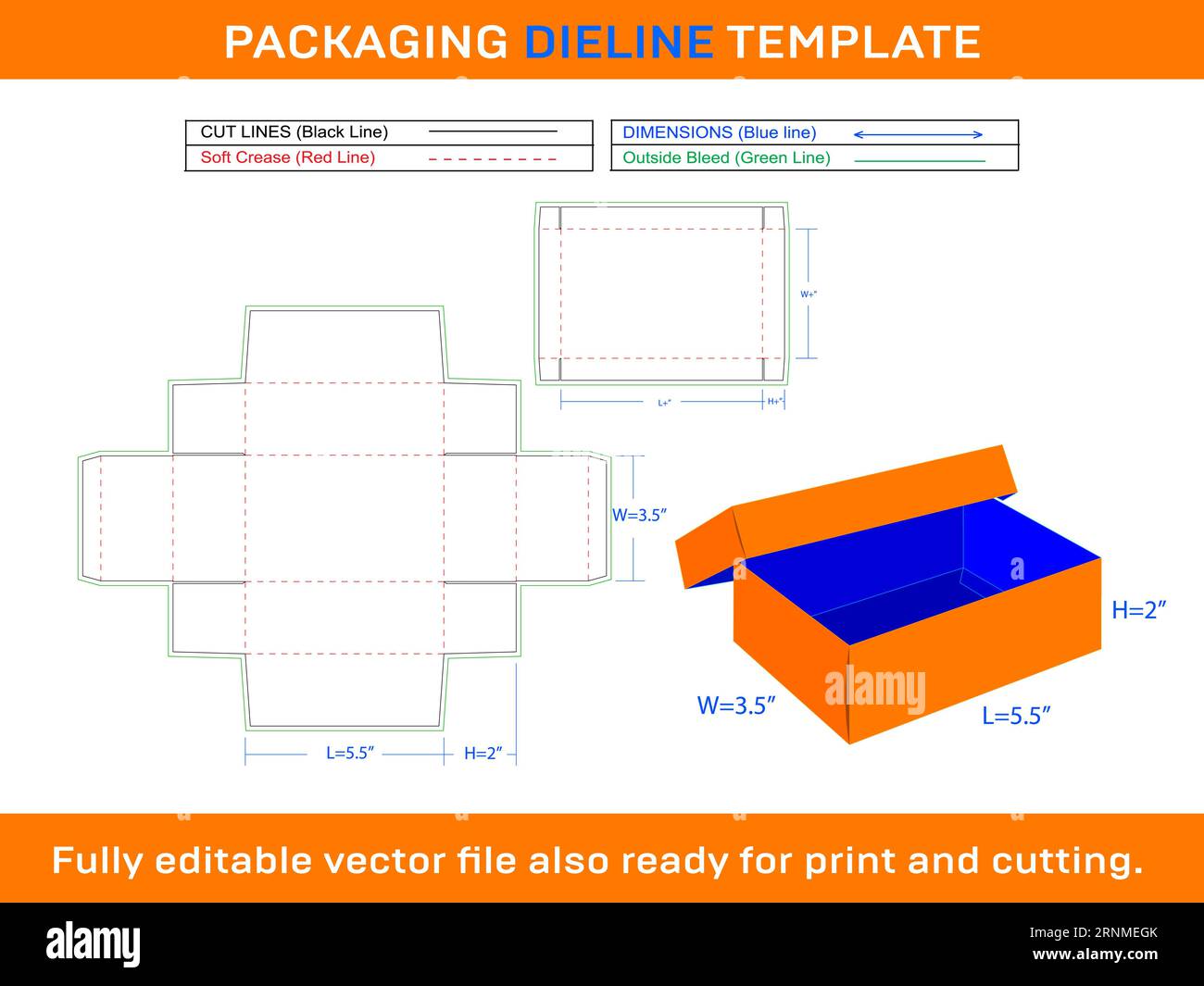 Mini Shoe Box, Favour Gift Box Die line Template Stock Vector Image ...