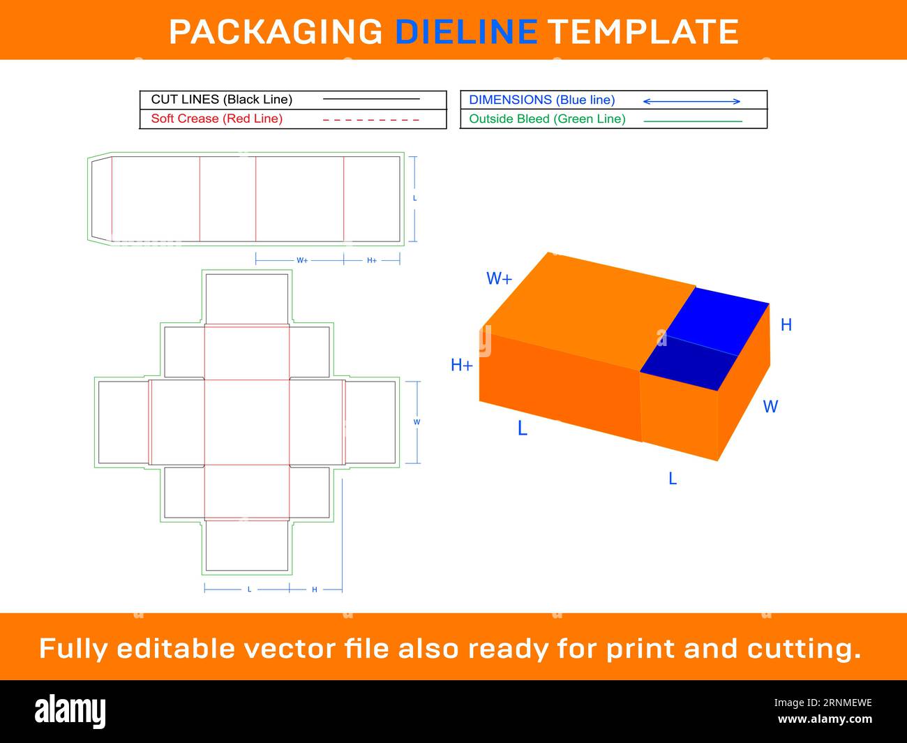 Jewellery Matchbox Die line Template Stock Vector Image & Art - Alamy
