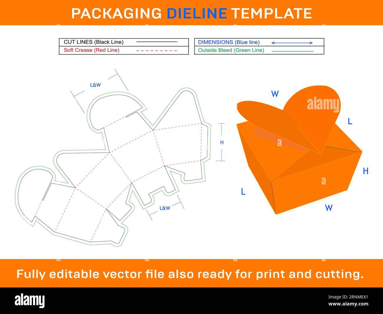 Birthday Party, Gift Box, Wedding Gift Box Dieline Template SVG, Ai ...