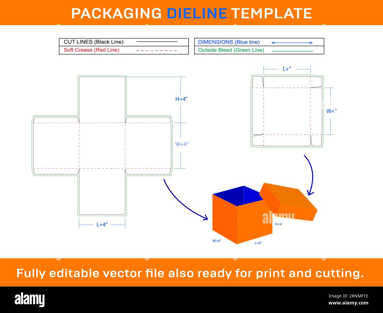 Explosion Box Die line Template Stock Vector Image & Art - Alamy