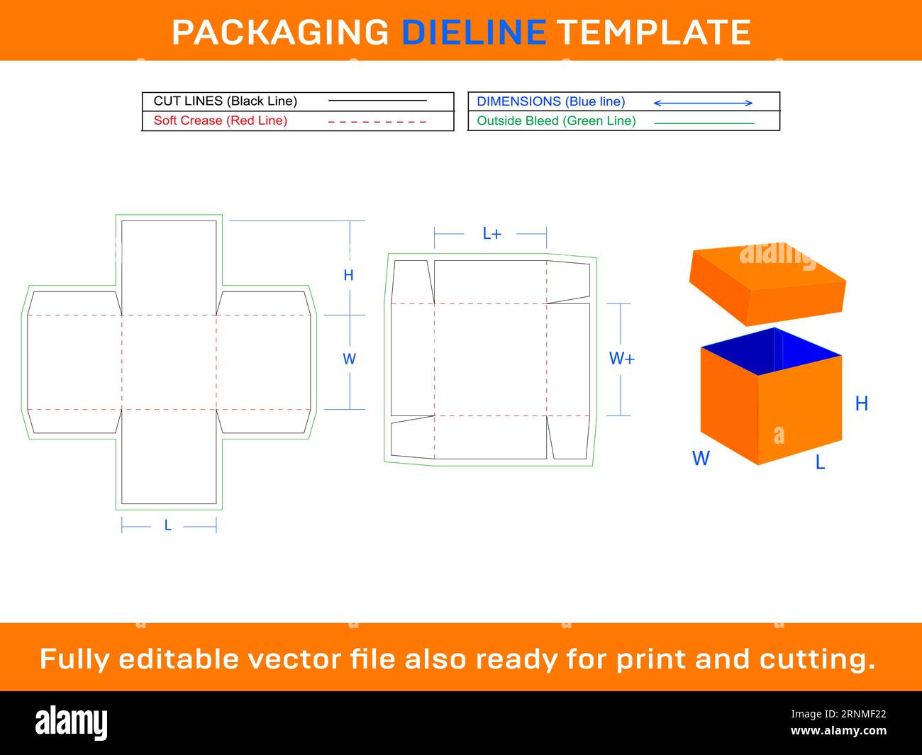 Explosion Box, Storage Box Die line Template Stock Vector Image & Art ...