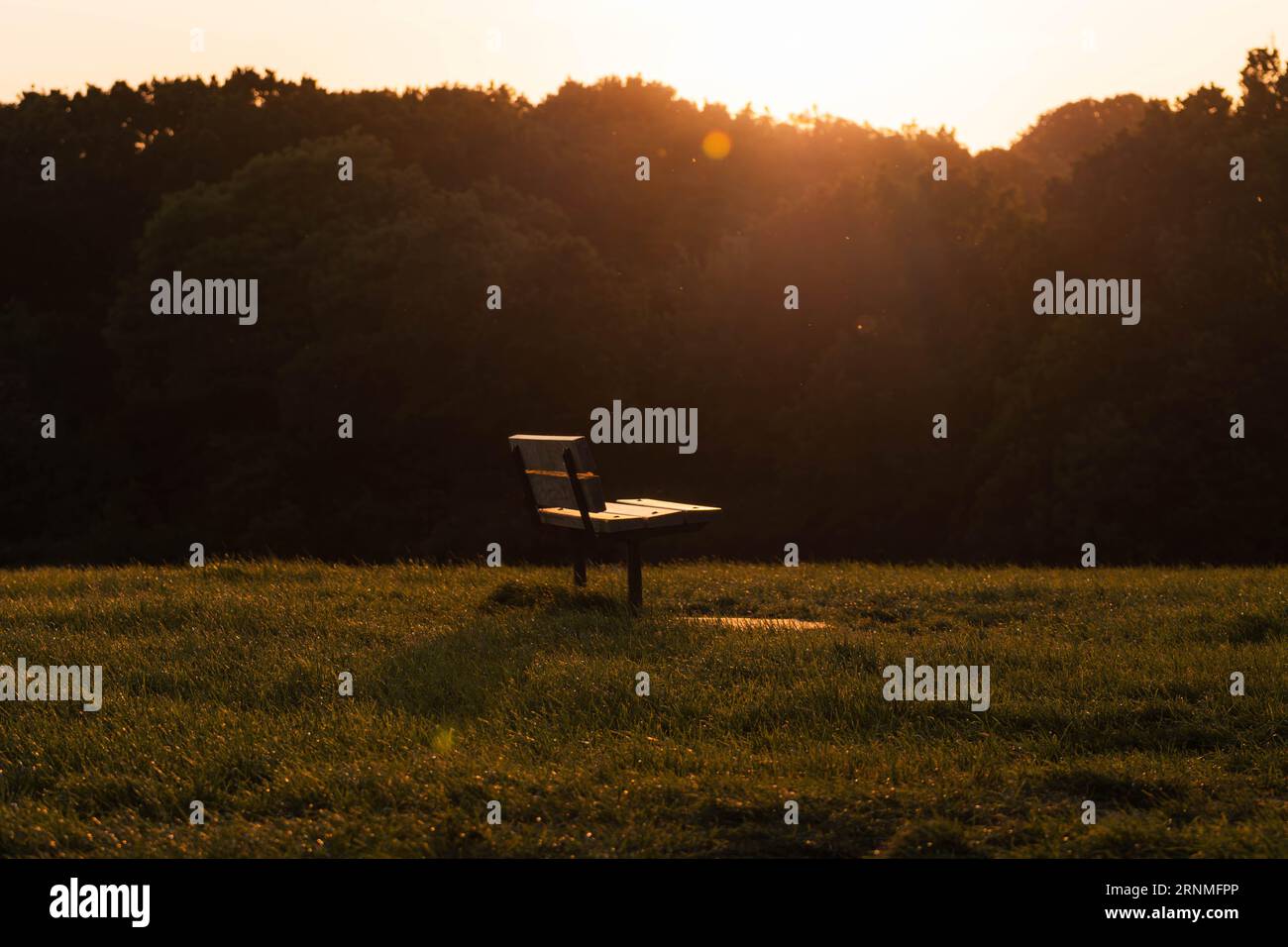 Centered Wooden Park Bench Isolated with Sunset Golden Hour Background ...