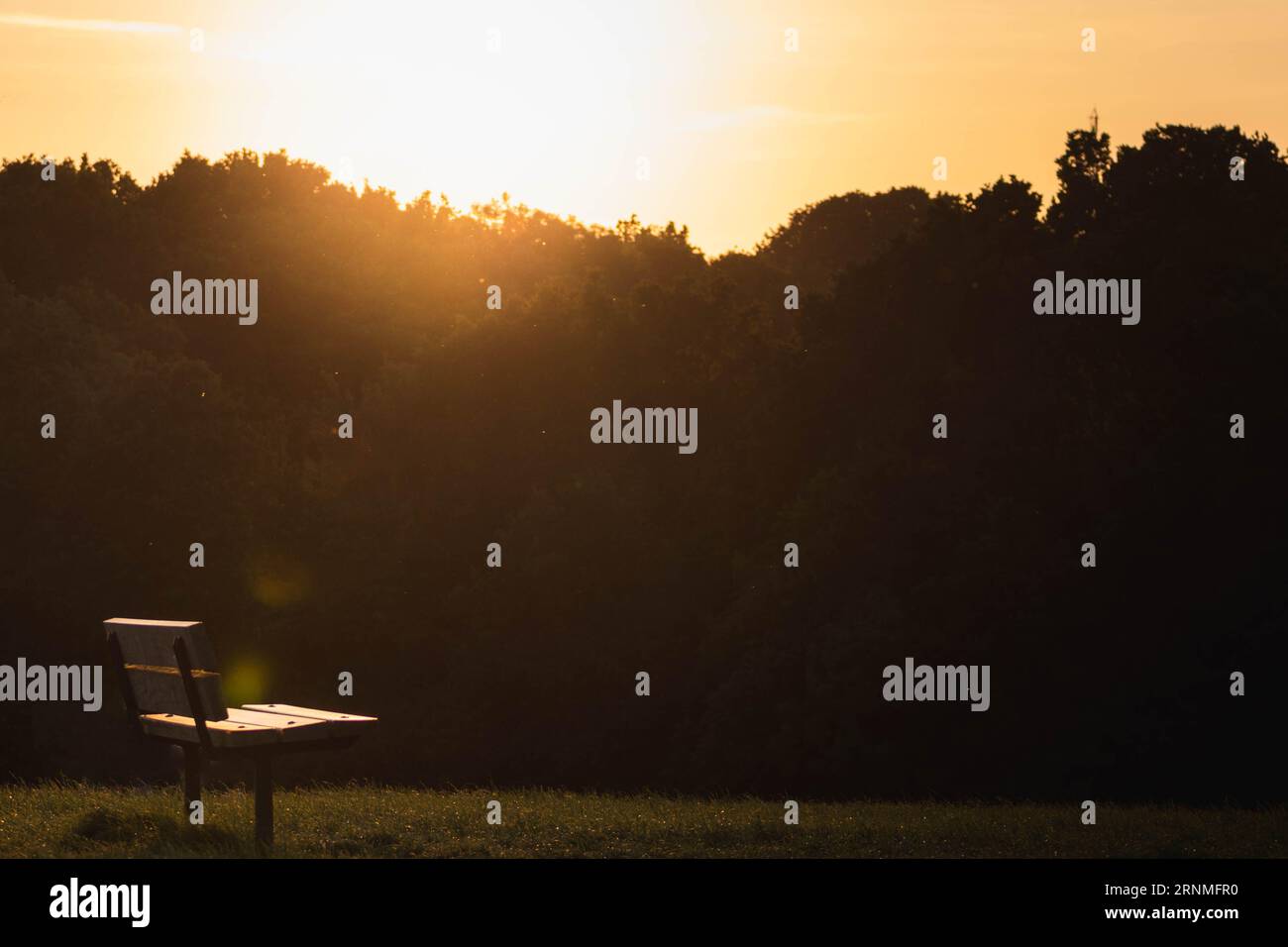 Centered Wooden Park Bench Isolated with Sunset Golden Hour Background ...