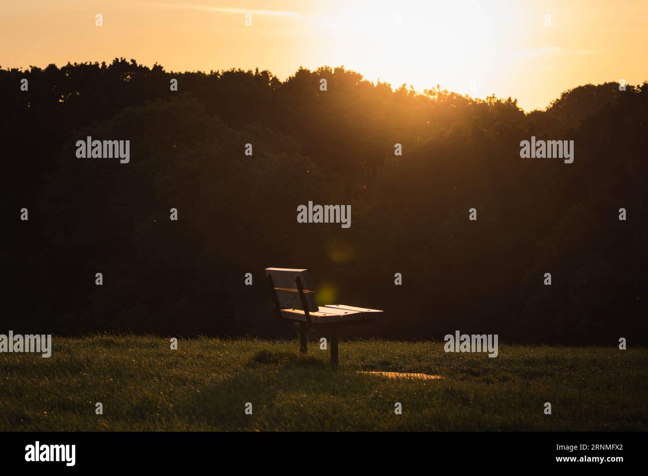 Centered Wooden Park Bench Isolated with Sunset Golden Hour Background ...