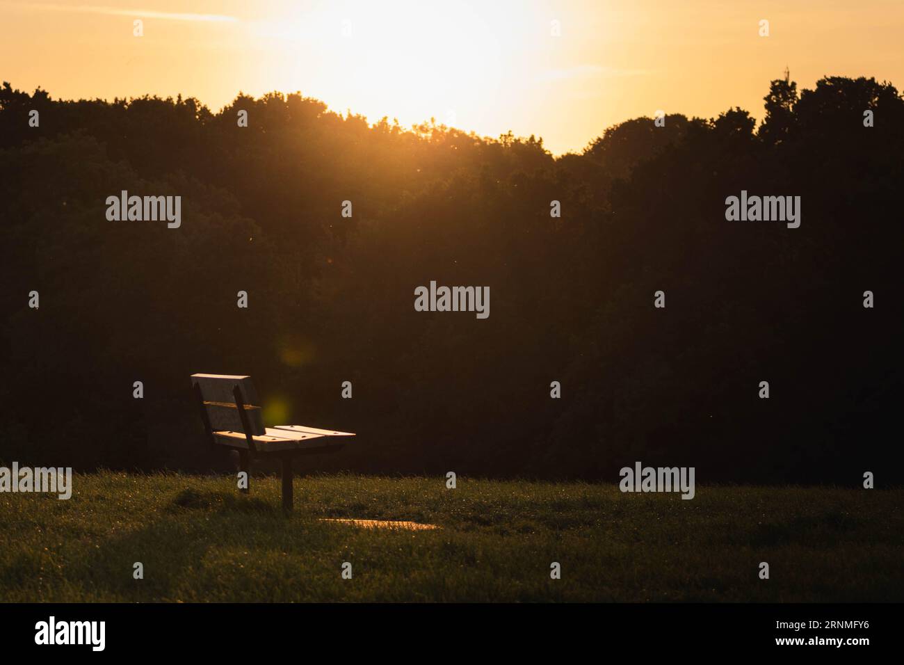 Centered Wooden Park Bench Isolated with Sunset Golden Hour Background ...