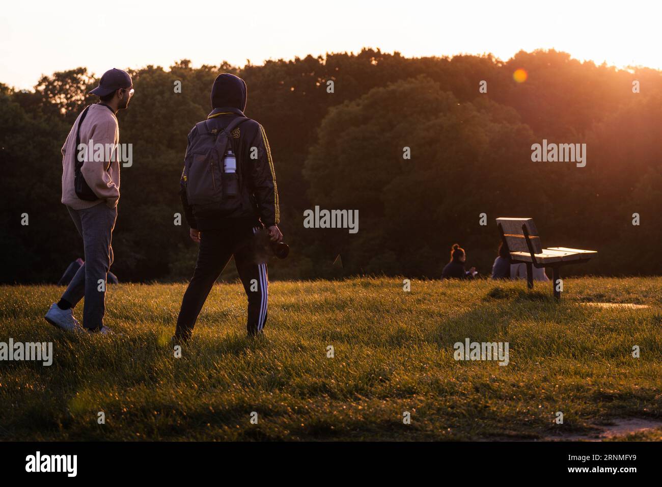 Young Men walking towards wooden park bench during golden hour sunset ...