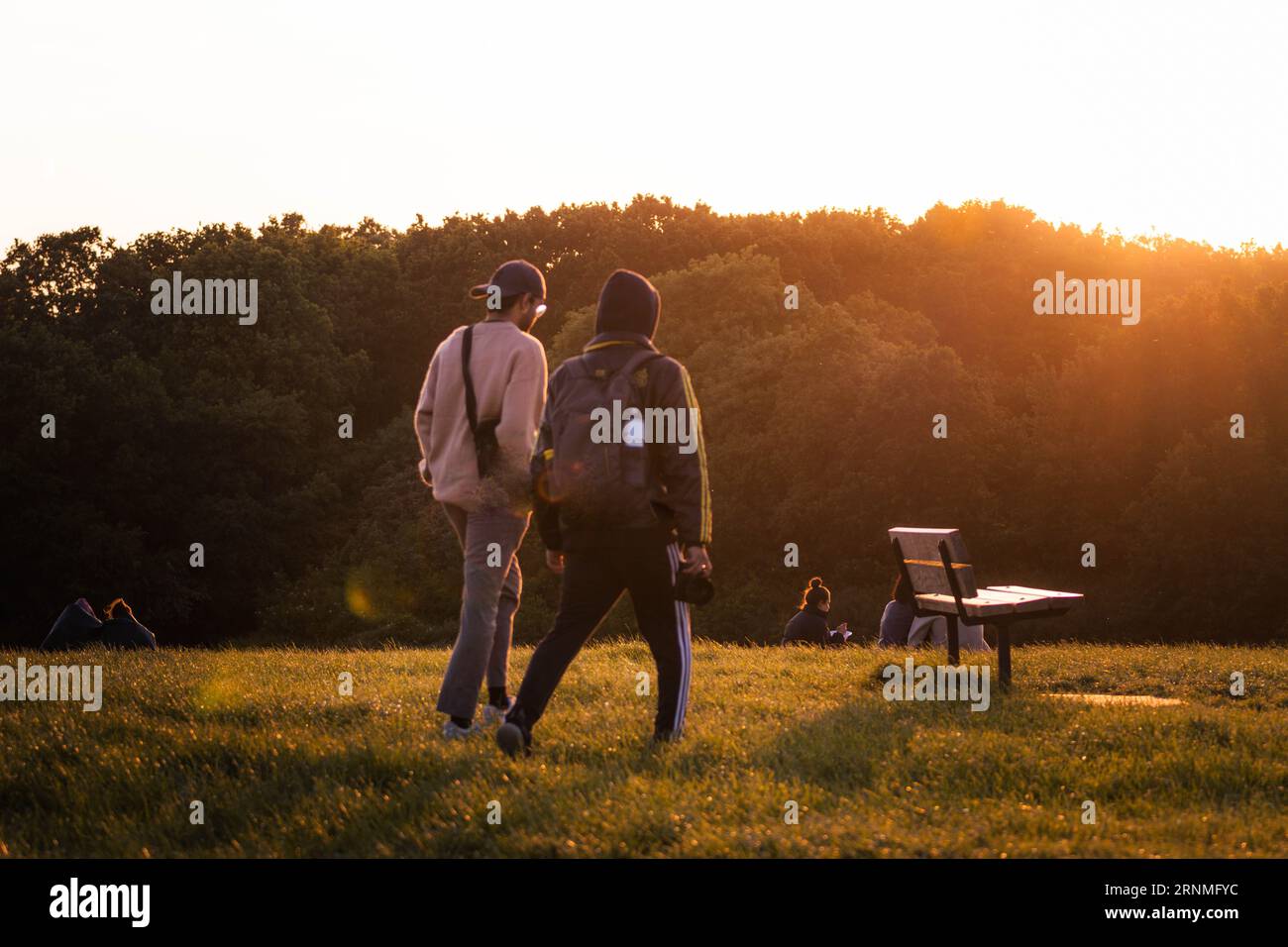 Young Men walking towards wooden park bench during golden hour sunset ...