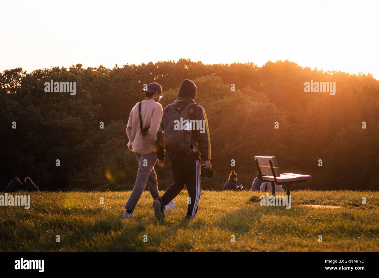 Young Men walking towards wooden park bench during golden hour sunset ...