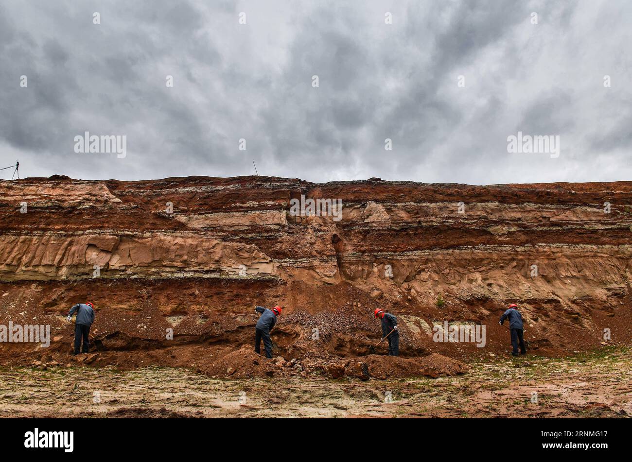 Dinosaur fossil excavation hi-res stock photography and images - Alamy