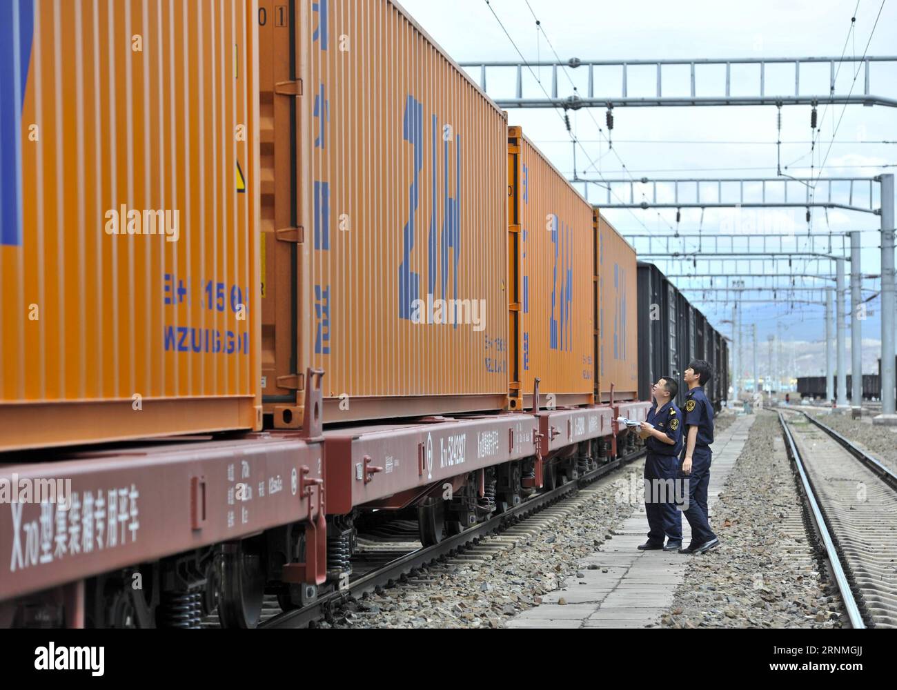 Custom officers passport hi-res stock photography and images - Alamy